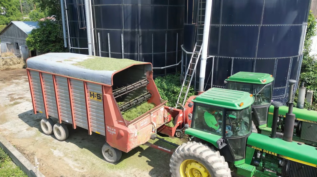 Mikep7810 -- After mowing & merging 3rd cutting alfalfa we are chopping it with the New Holland ...