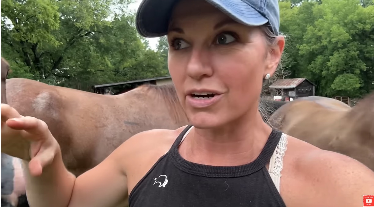 This Farm Wife - Meredith Bernard -- Well, we're wet, but we're also ...