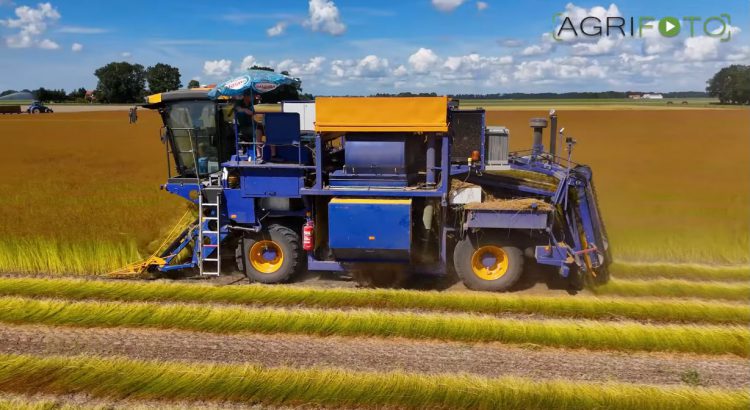Agrifoto *NEW* Unique flax harvesting machine - picking & threshing ...
