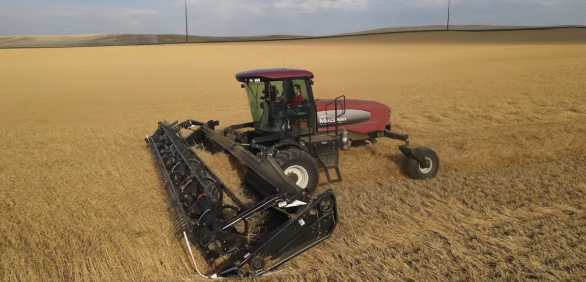 Kate's Ag - Farm to Fashion -- Swathing Wheat 2024! Today I am riding ...