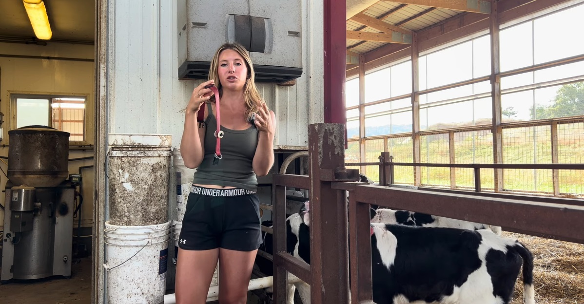 New Age Custom Farming -- A Tour of our Cattle Farm (Highly Requested ...