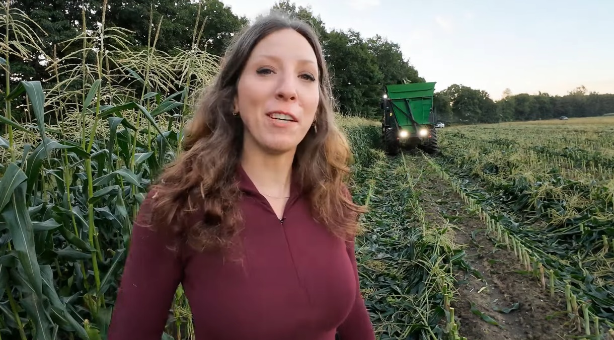 Bells Farming -- 4:15 am Start with Shane harvesting sweet corn. Great ...