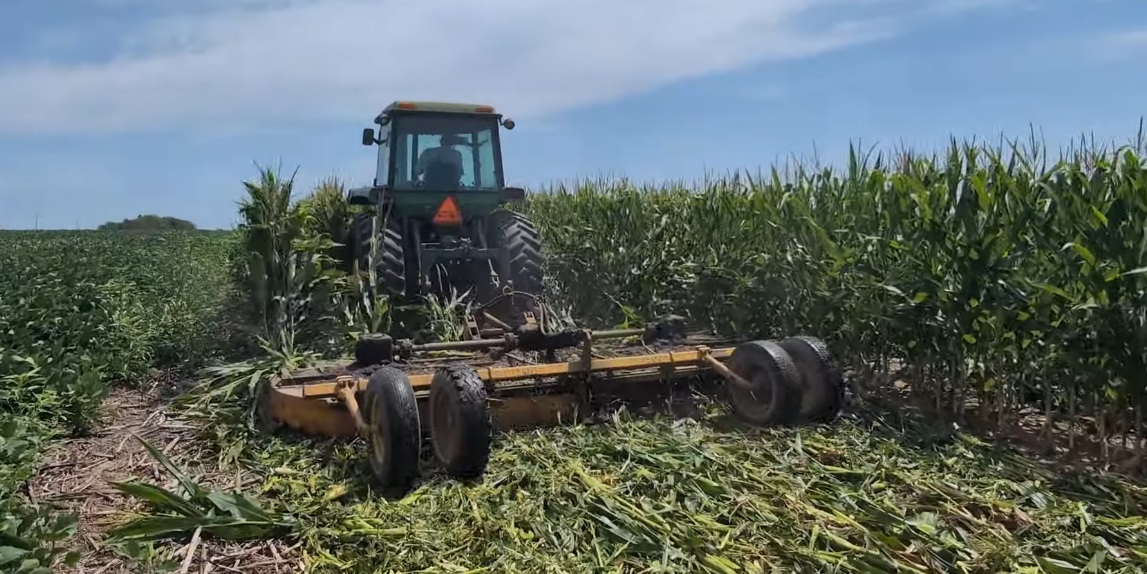 Richters Farms -- John Deere 4630 Shredding Seed Corn -- Removing the ...
