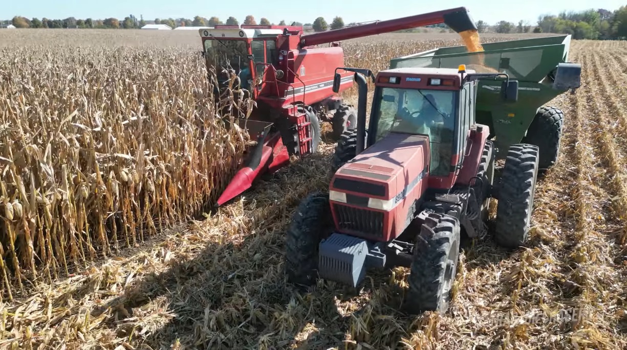 International Harvester 1460 Combine Harvesting Corn - Case ih treactor ...