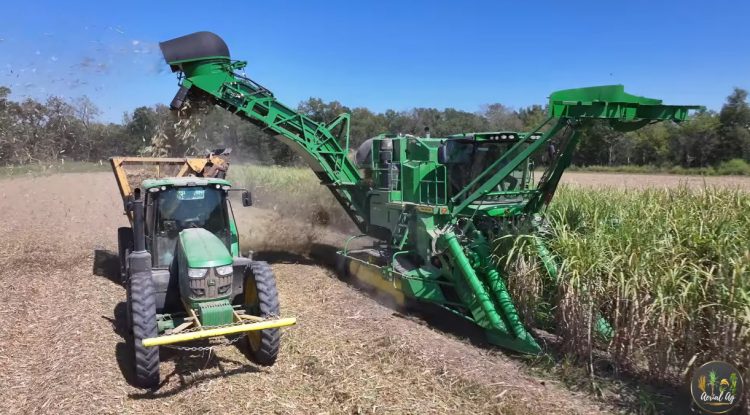HMC Farms running this brand new Deere CH960 2 row cane harvester ...