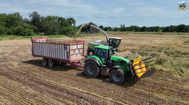 Mike Less - Farmhand Mike -- Direct cutting triticale with a Claas ...