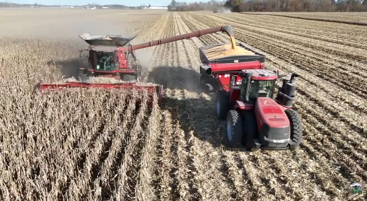 Mike Less - Farmhand Mike -- Dick Lavy Farms as they harvest their last ...