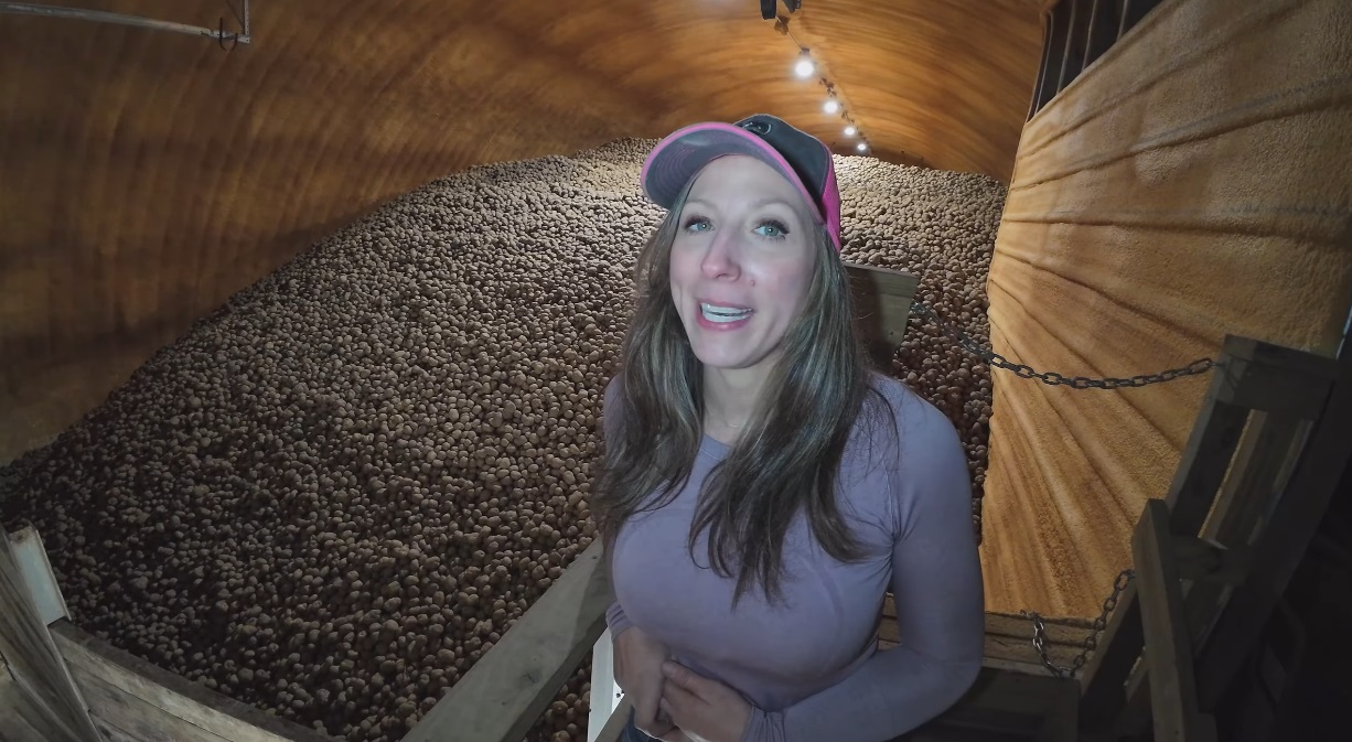 Bells Farming -- The end of potato harvest 2024. See the last days in ...