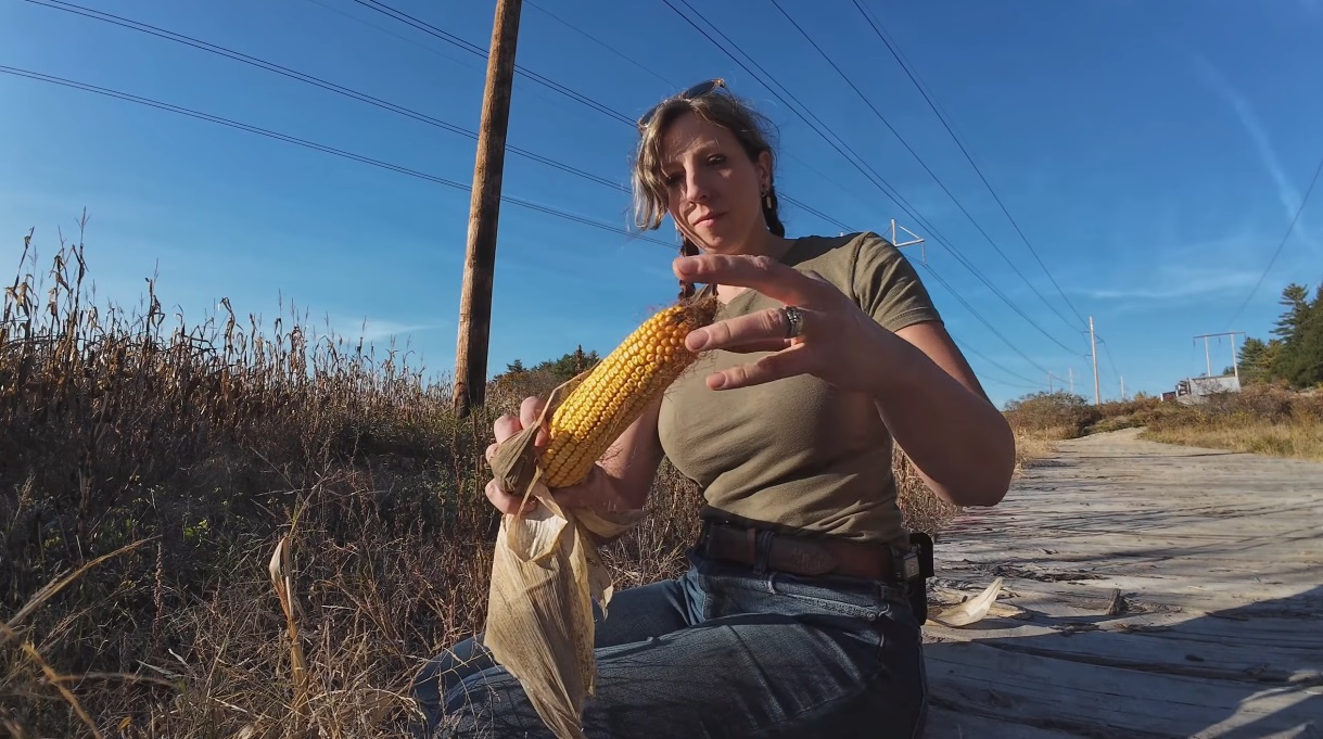 Bells Farming -- Time for grain corn harvest to start. Join me as I ...