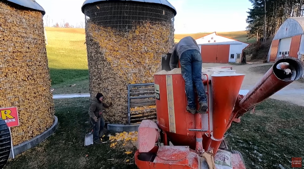 Gierok Farms -- Grinding corn for feed on a dairy farm is fun to be a ...