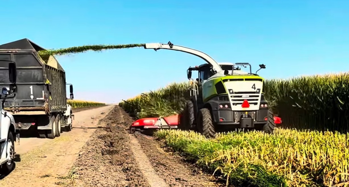 Chopping high tonnage, Cornsilage In California with Claas Jaguar 990’s ...