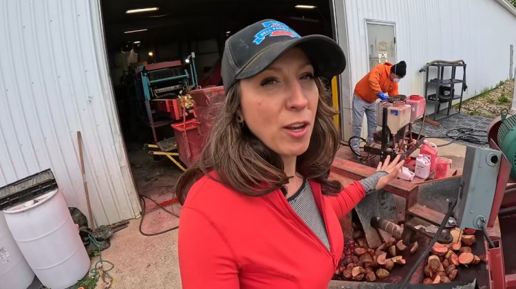 Big Yields start here - Cutting seed potatoes at Bell Farms Bells Farming