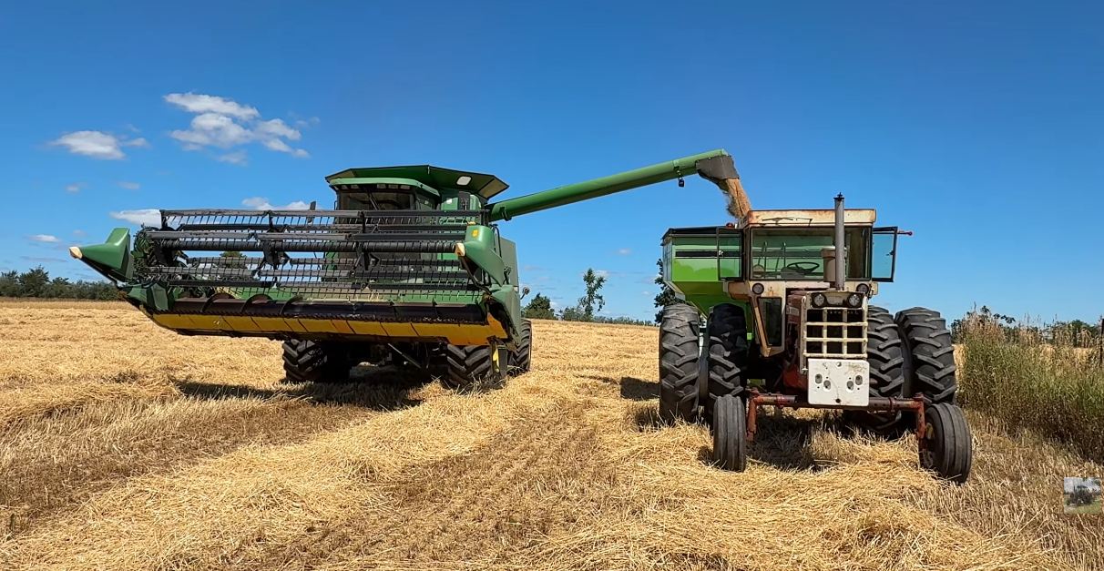 Combining drought stressed winter wheat --John Deere 9500 Combine ...