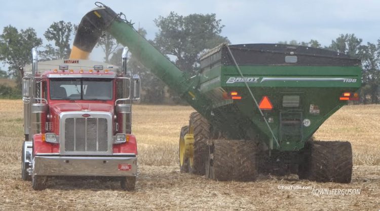 CORN HARVEST 2025 in Kentucky with 3x John Deere X9 1000 Combines and ...
