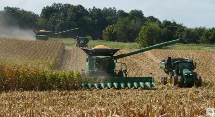KENTUCKY Corn Harvest 2025 - 3x John Deere X9 1000 With 16-Row Corn ...