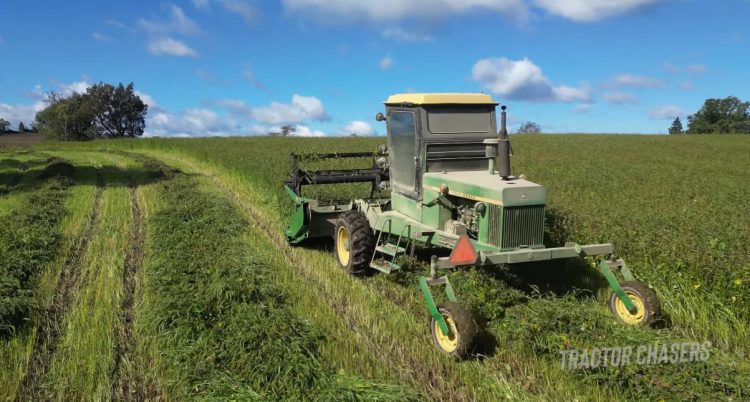 Harvesting buckwheat with a John Deere S550 Combine and 2320 Swather ...