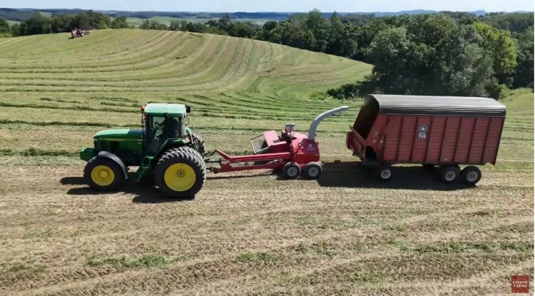 Chopping hay on a small dairy farm with two pull type choppers at the ...