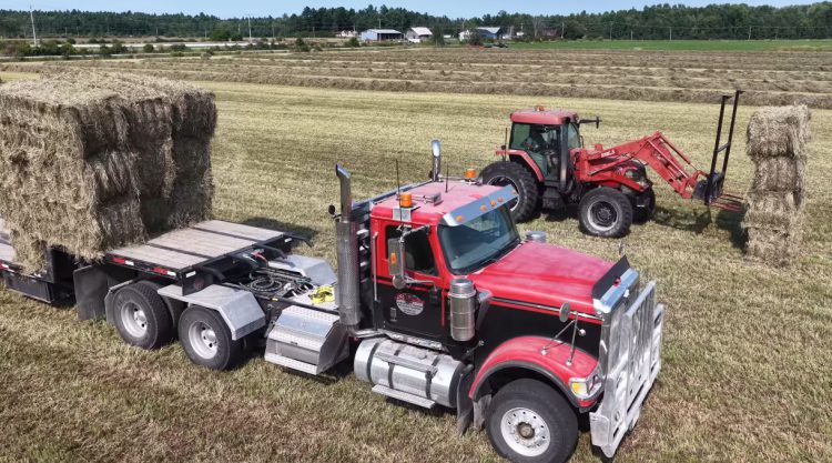 CANADIAN FARMER -- A fascinating collection of antique International ...