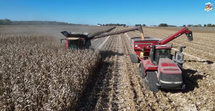 Mike Less - Farmhand Mike -- In this video I am out in a corn field on ...
