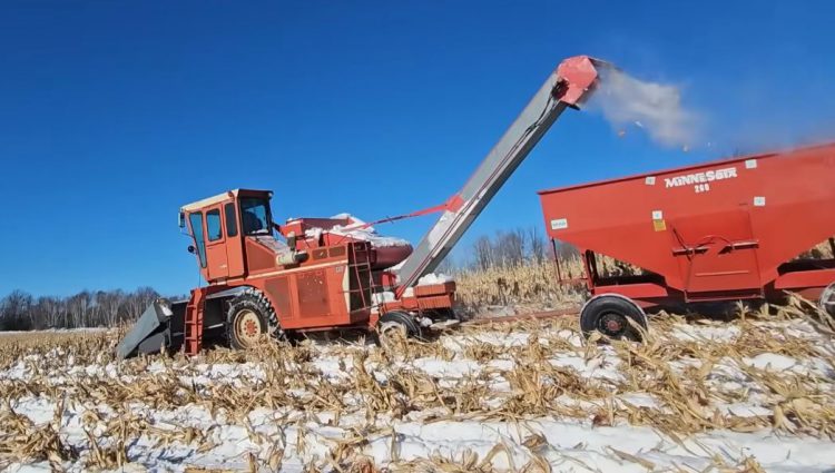 Picking the Last of the Corn With a New Idea Uni 2025. The New Idea ...